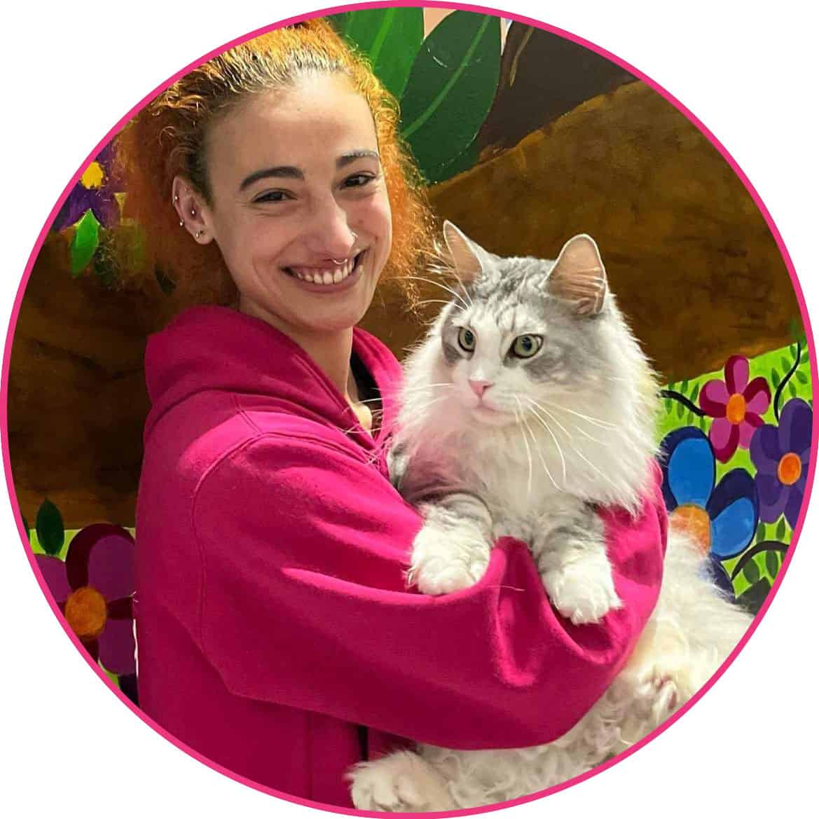 Cat Care Boarding Service in Melbourne, Pet Cattery in Australia ...